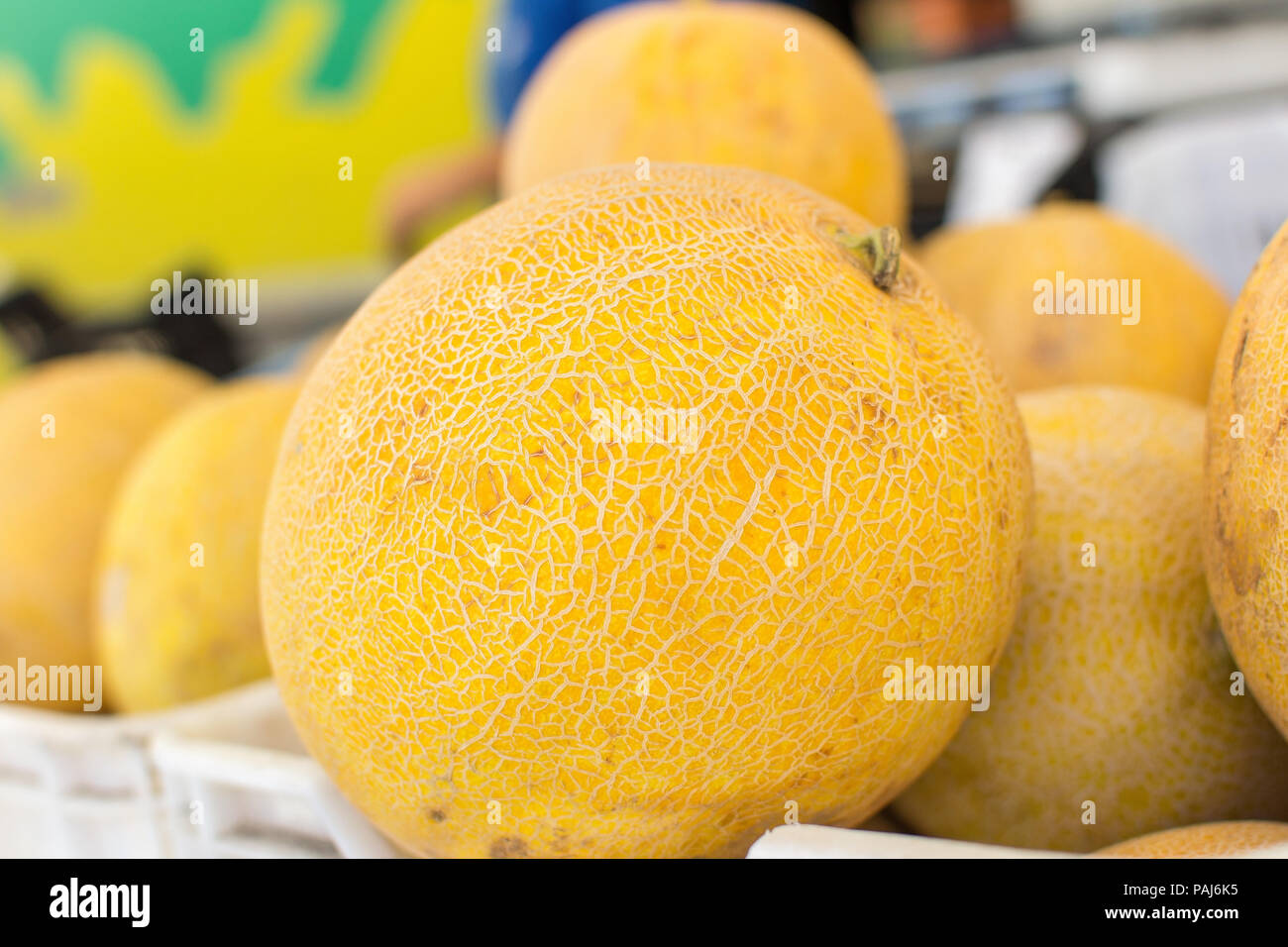 Cantaloupe melon farm hi-res stock photography and images - Alamy
