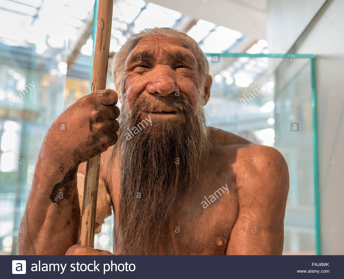 Homo Neanderthalensis High Resolution Stock Photography and Images - Alamy