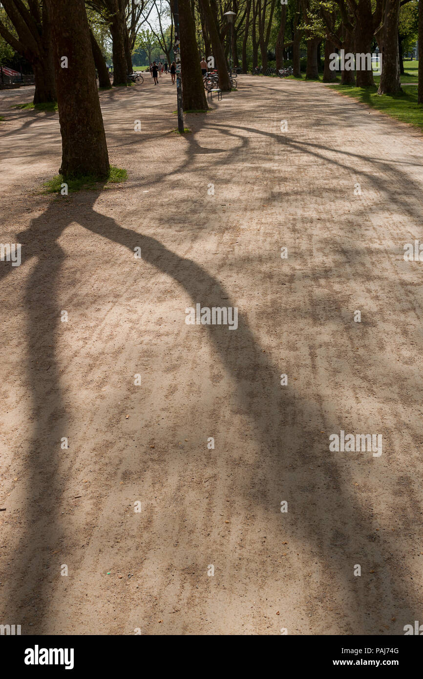 Shade texture hi-res stock photography and images - Alamy