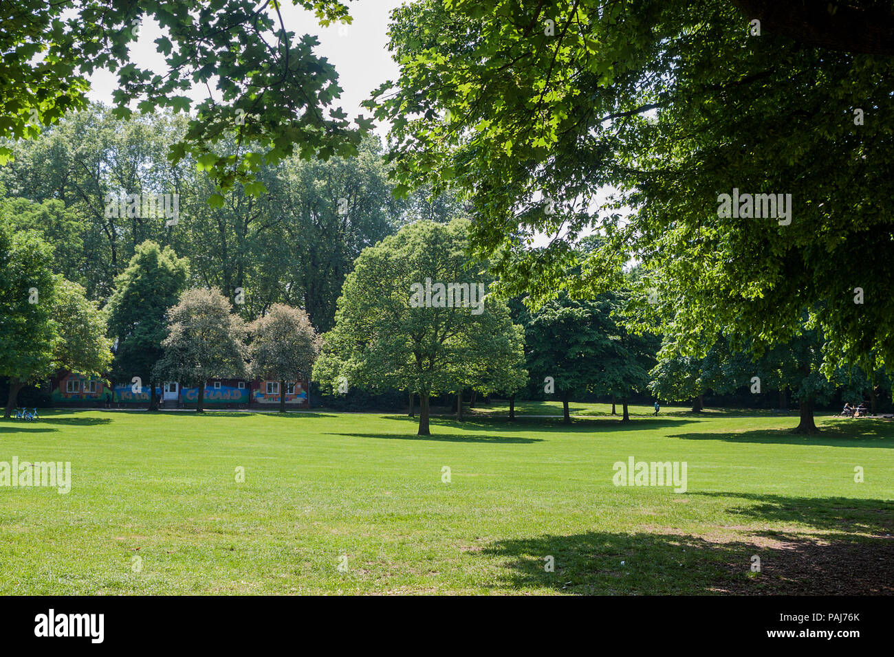 Beautiful park scene in public park with green grass field, green tree ...