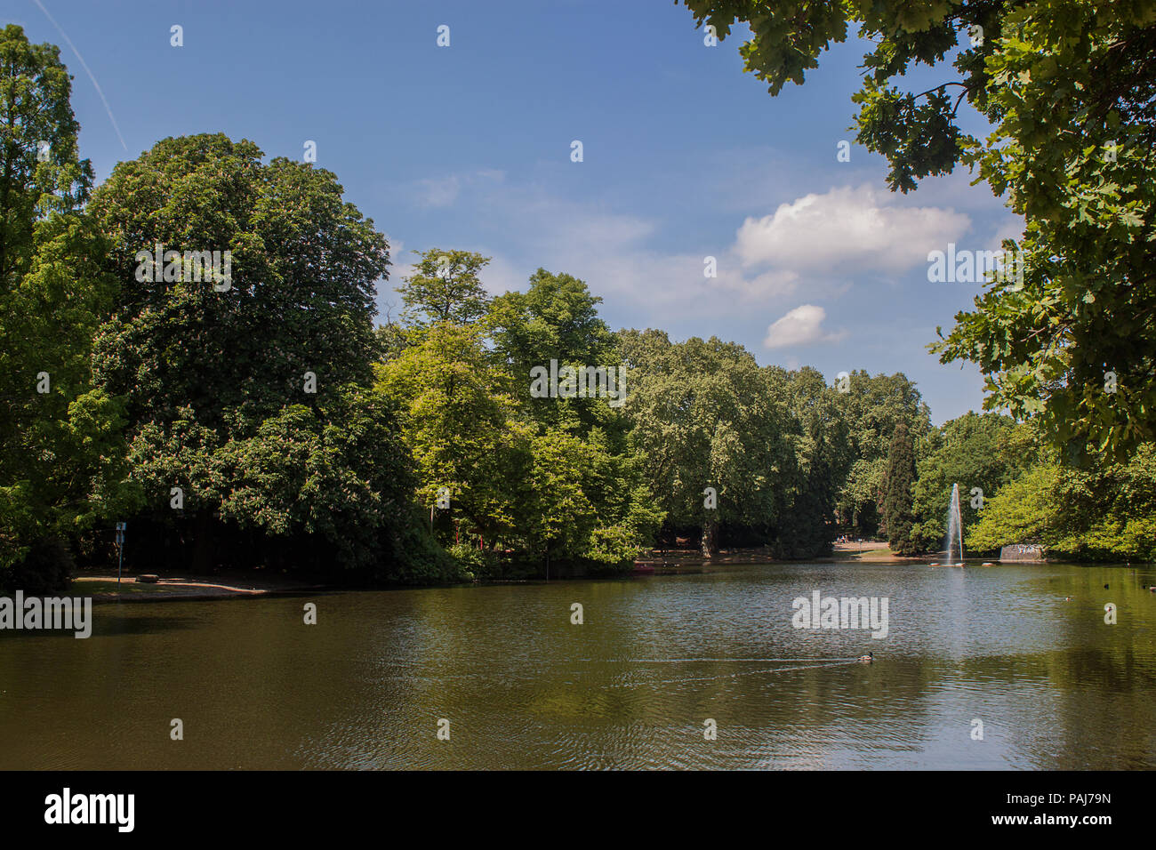 Beautiful park scene in the Volksgarten Park in Cologne, Germany Stock ...