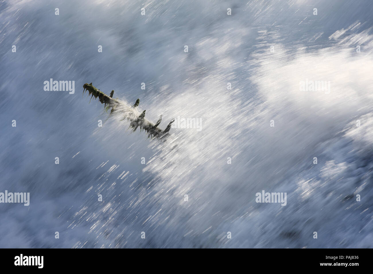 Wooden stick water hi-res stock photography and images - Alamy