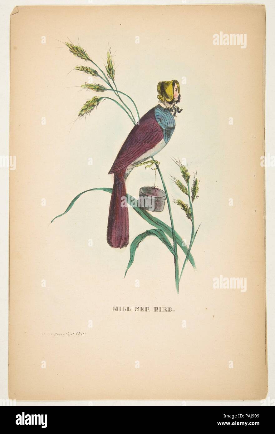 Henry bird artist hi-res stock photography and images - Alamy