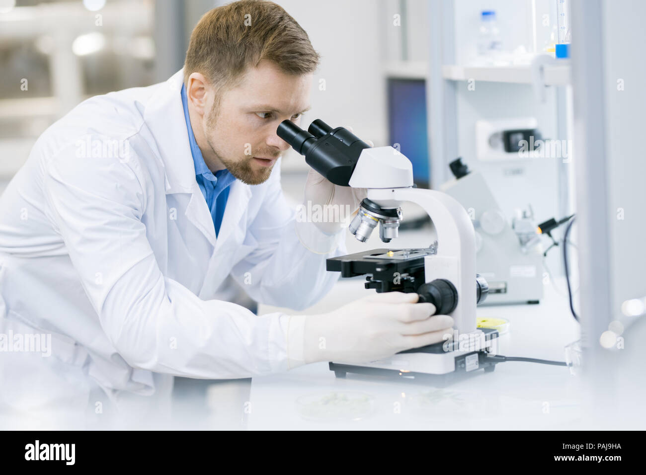 Portrait of young scientist looking in microscope while working on ...