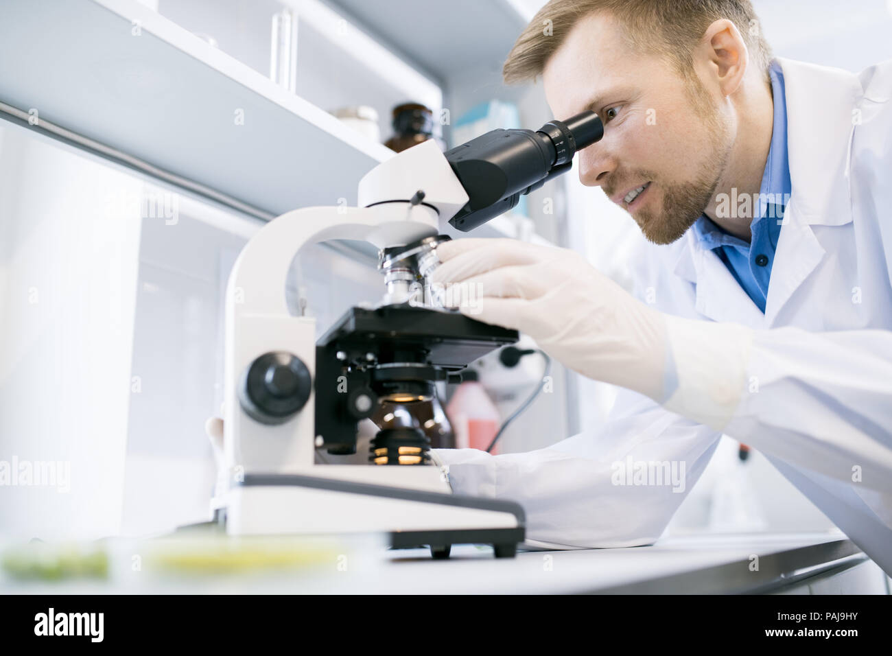 Side view portrait of smiling scientist looking in microscope while ...