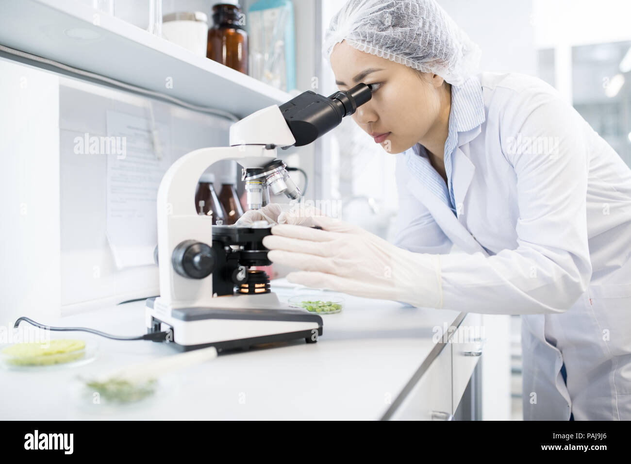 Side view portrait of Asian female scientist looking in microscope ...