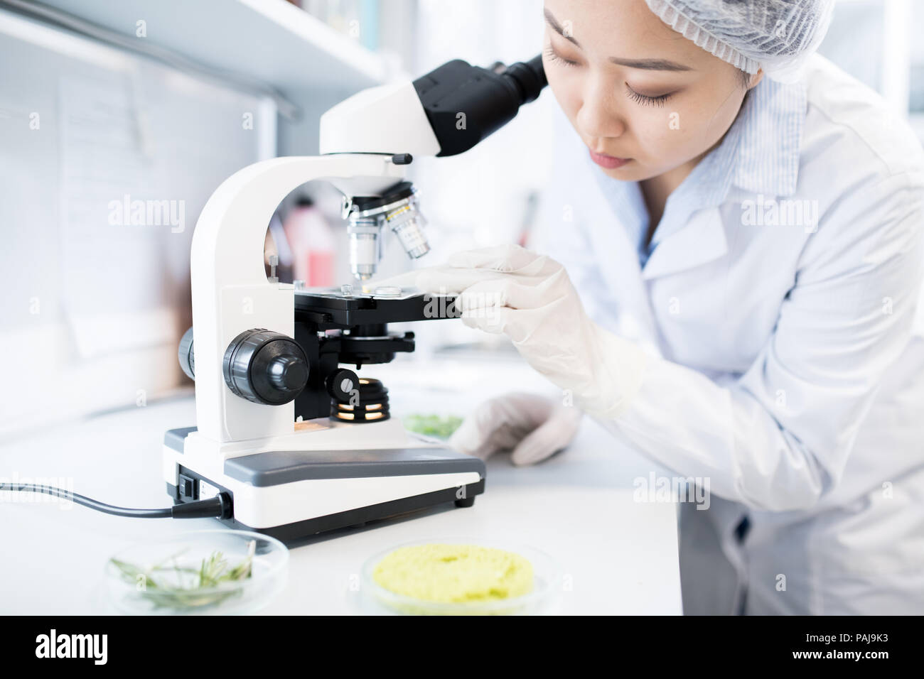 Side view portrait of Asian female scientist using microscope while ...