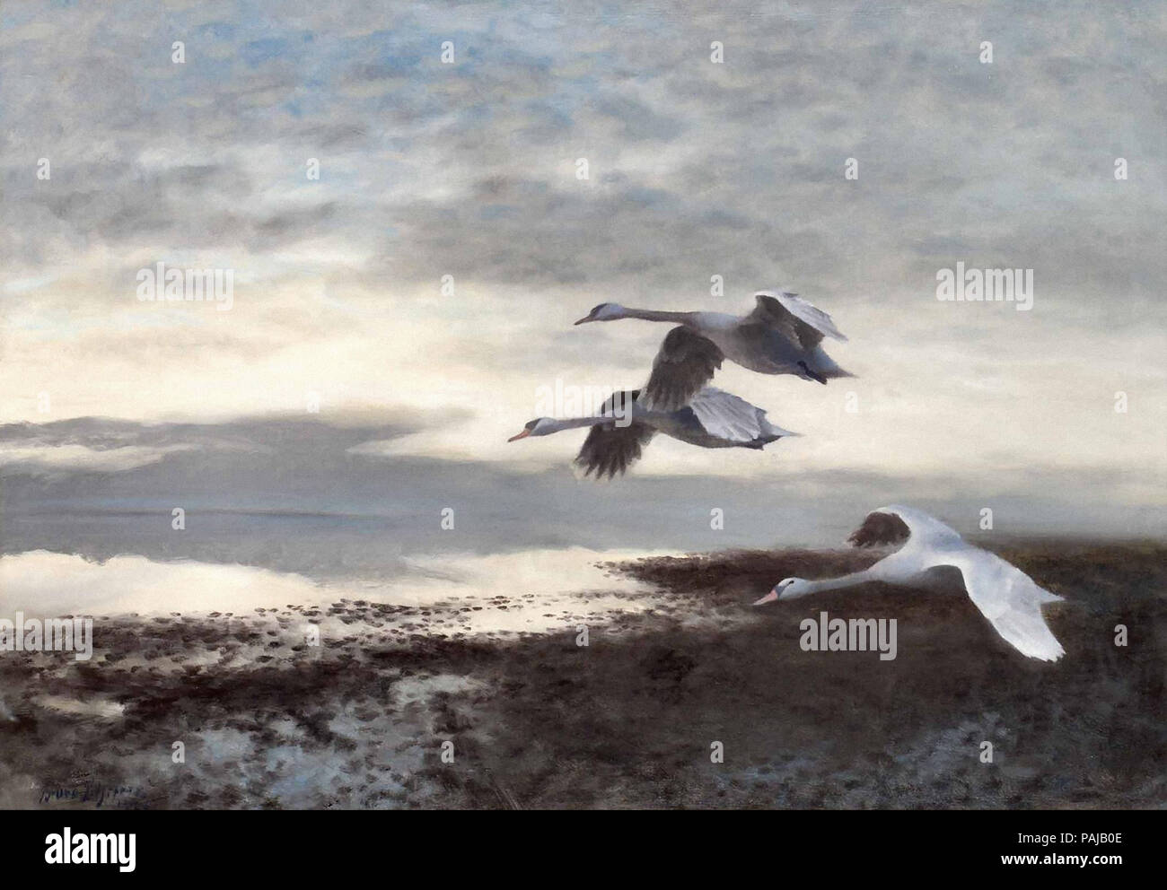 Th 01 hi-res stock photography and images - Alamy