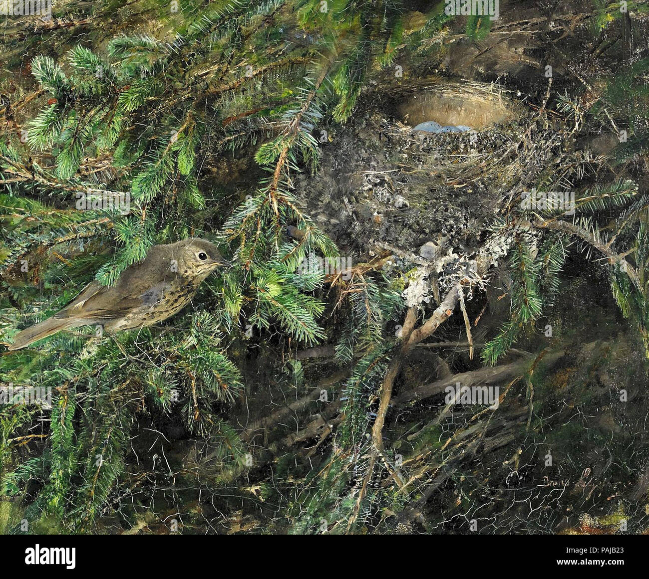 Boet hi-res stock photography and images - Alamy