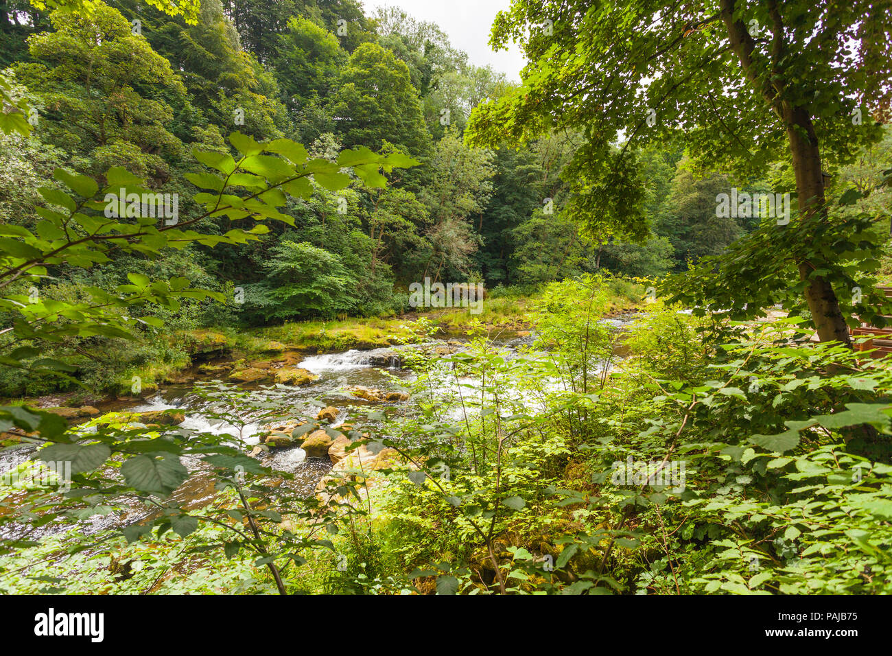 The River Coquet flowing through the centre of Rothbury,Northumberland ...