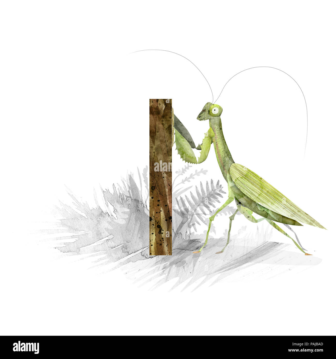 I is for Insect, Children's Alphabet Letter, Praying Mantis ...