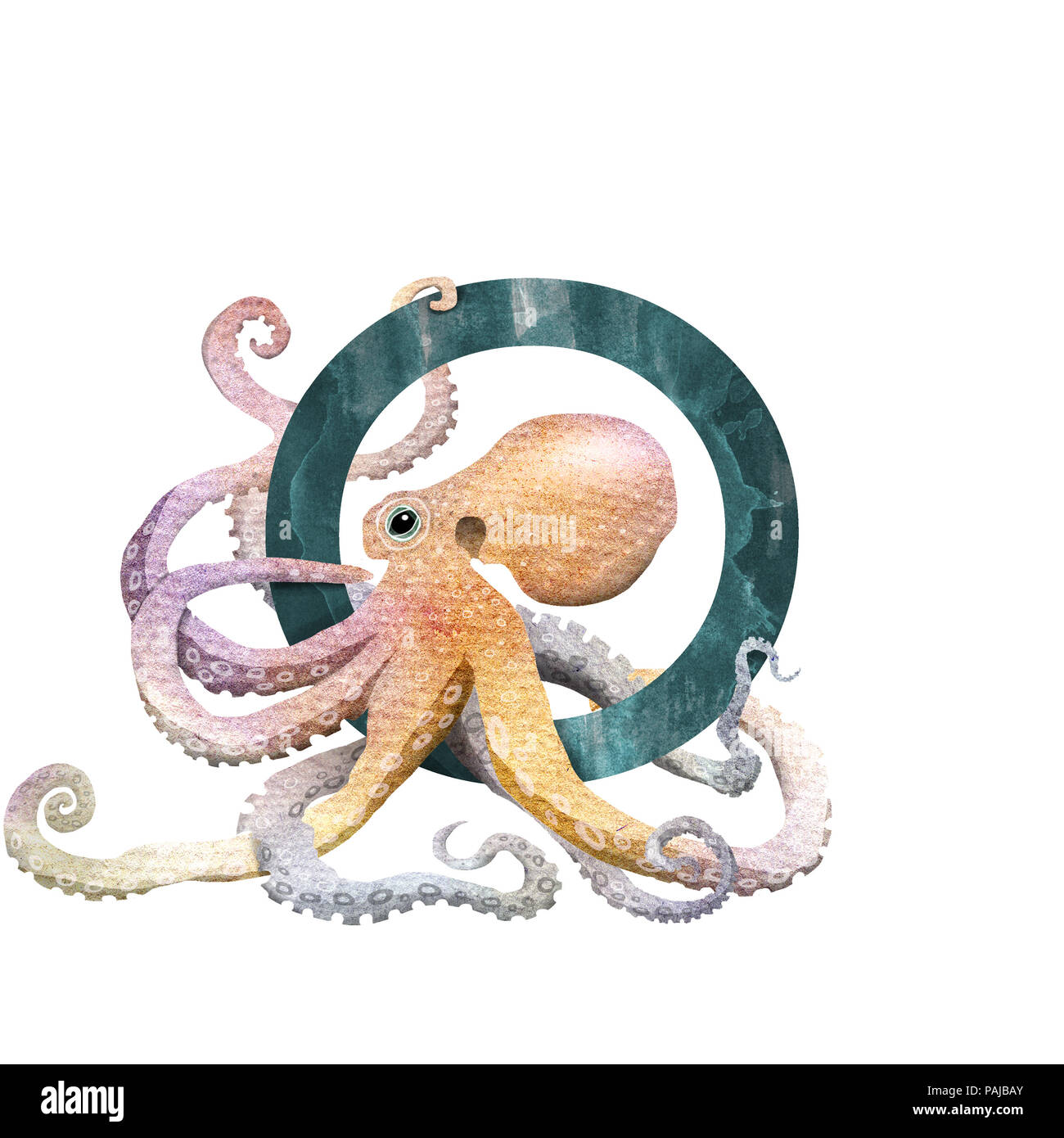 O is for Octopus, Children's Alphabet Letter Stock Photo - Alamy