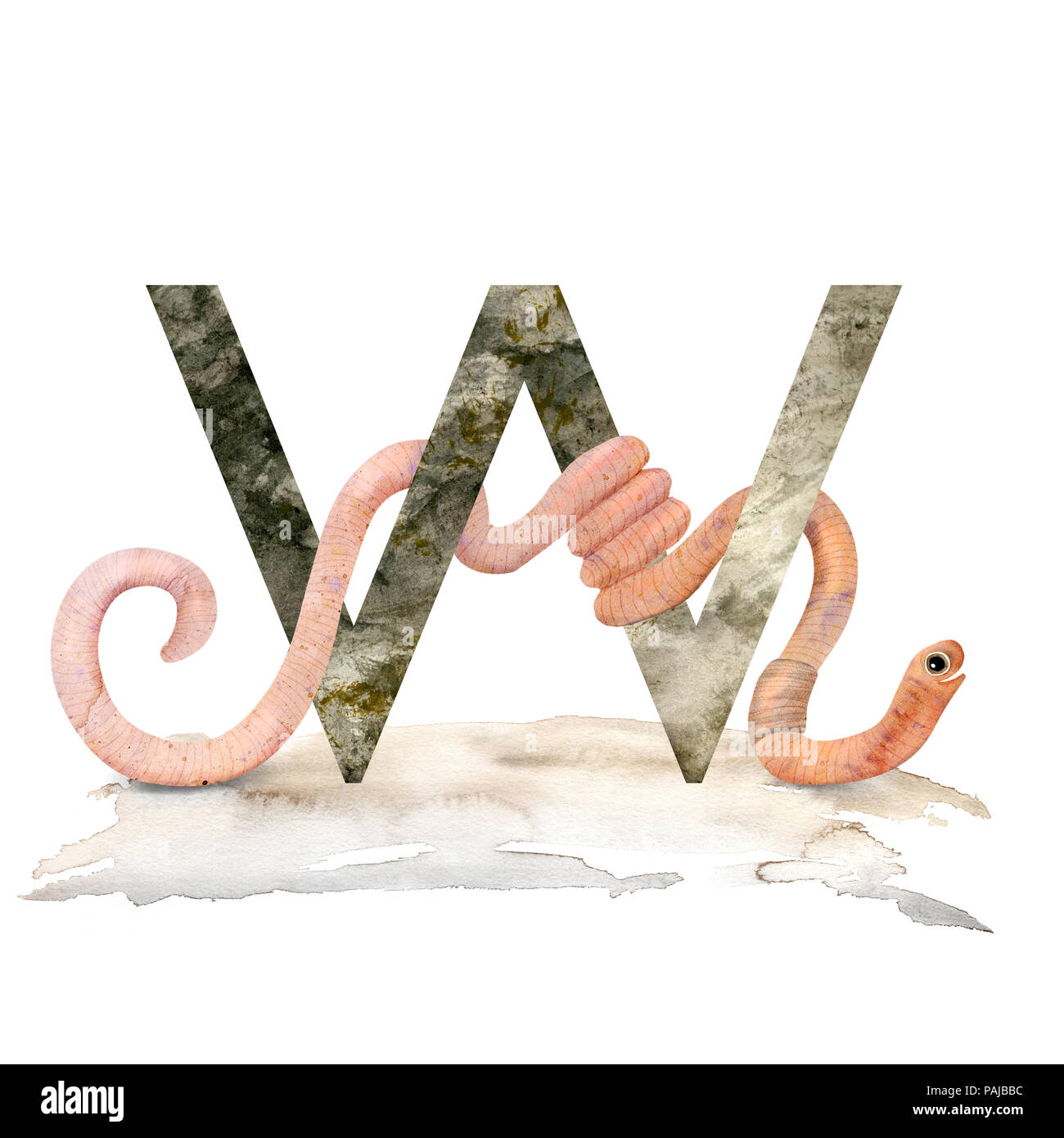 W is for worm hi-res stock photography and images - Alamy