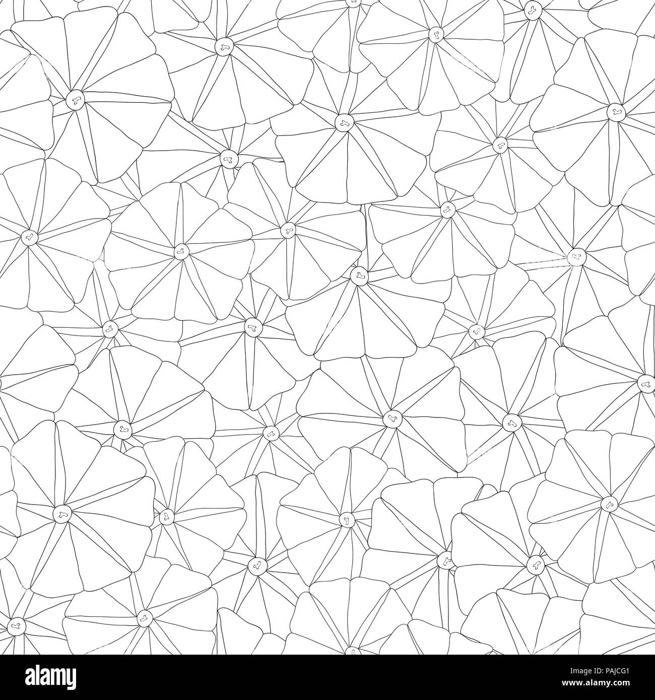 Morning Glory Flower Outline Seamless Background. Vector Illustration ...