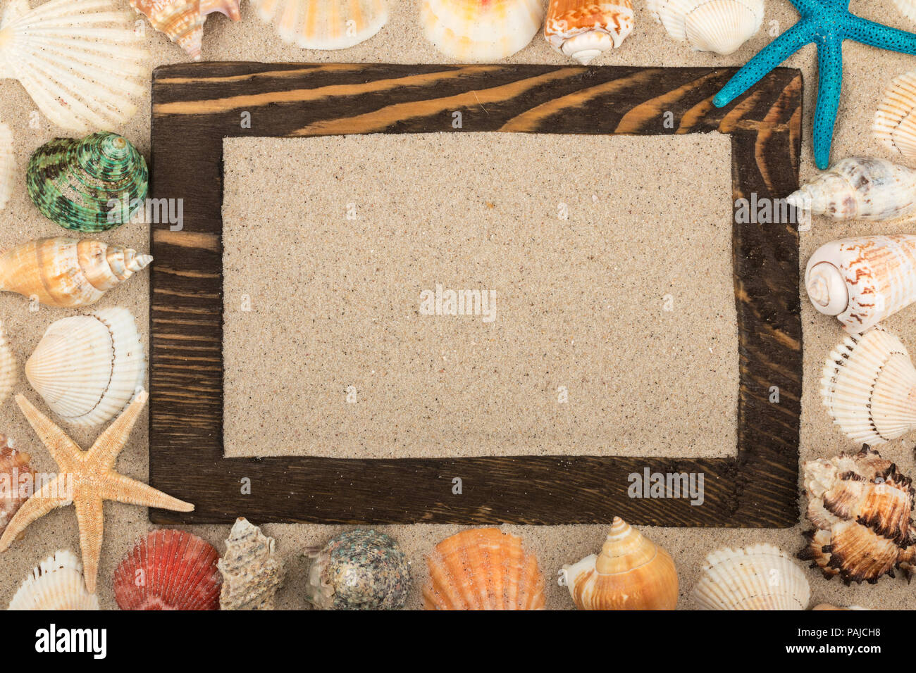 Framework of shells hi-res stock photography and images - Alamy