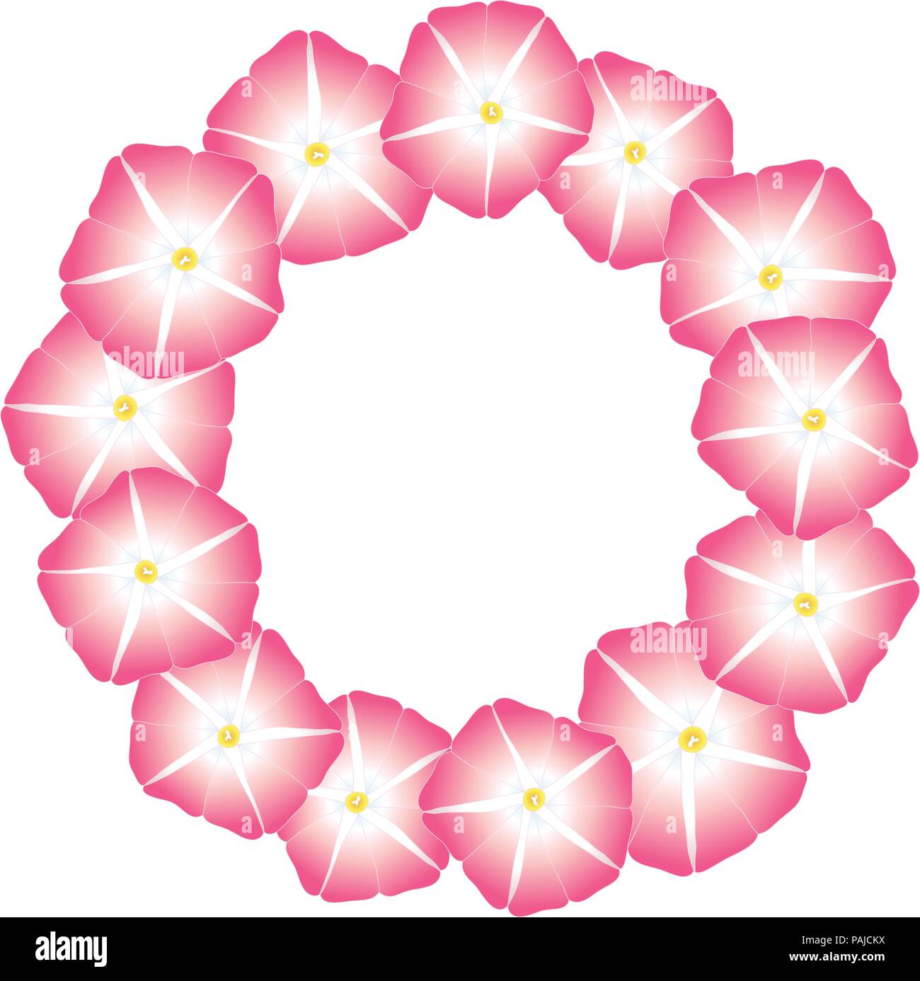Pink Morning Glory Flower Wreath. Vector Illustration Stock Vector ...