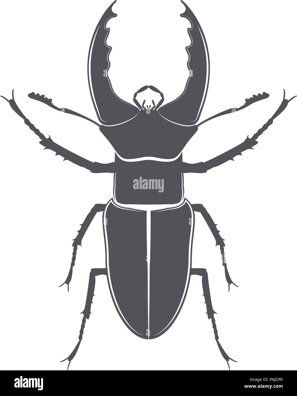 Beetle image Stock Vector Images - Alamy