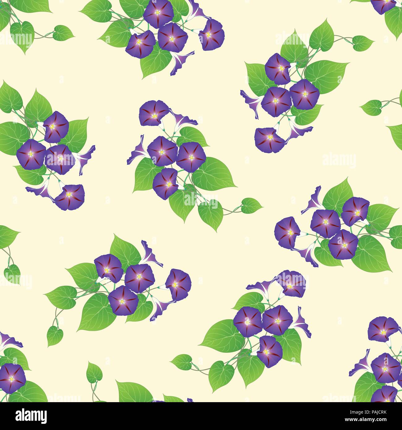 Purple Morning Glory on Beige Ivory Background. Vector Illustration ...