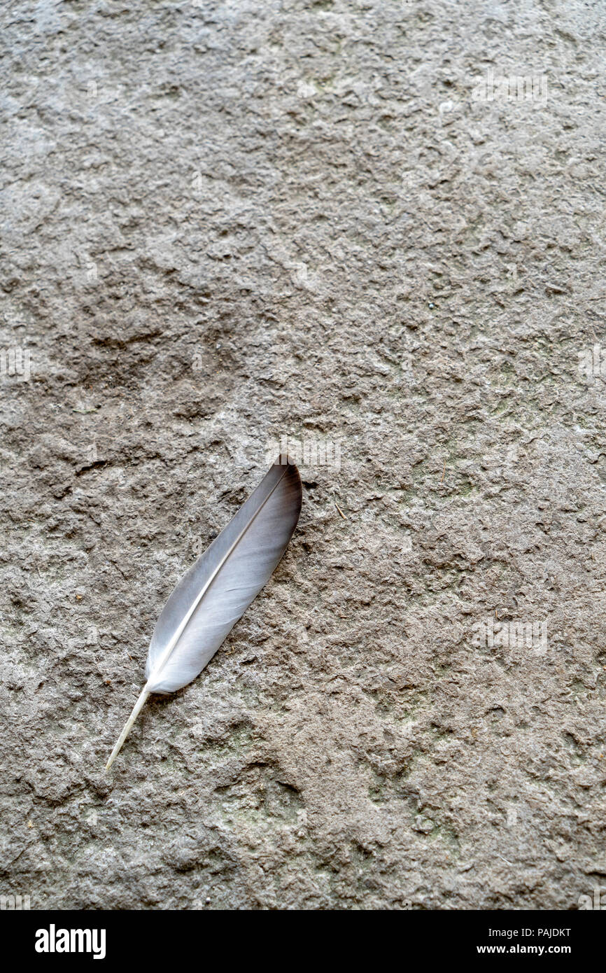 Rough surface hi-res stock photography and images - Alamy