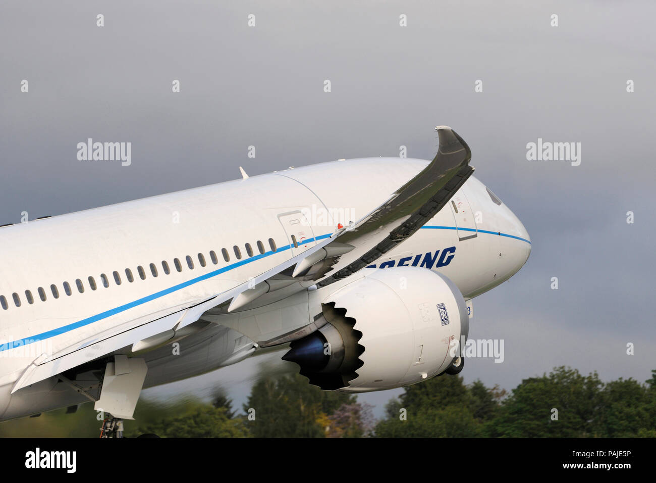 nose, wing and Rolls-Royce Trent 1000 engine-cowling of Boeing 787-8 ...