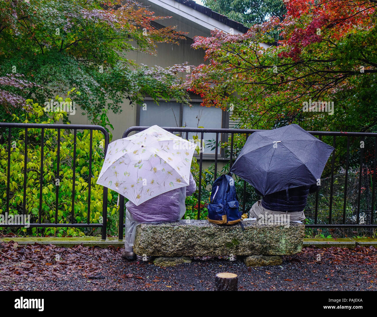 Woman umbrellas protect hi-res stock photography and images - Alamy