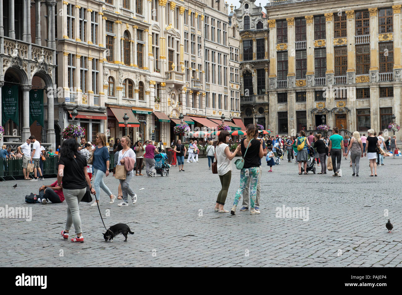 Brussels, Belgium. 23 July, 2015. Tourists walking by crowded Grand ...