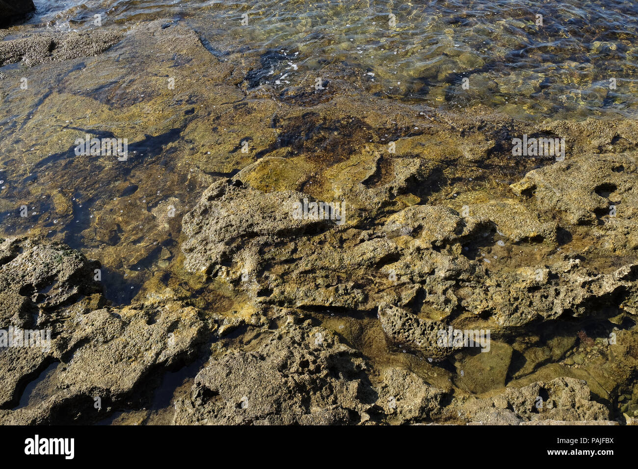 Stone texture under water Stock Photo - Alamy