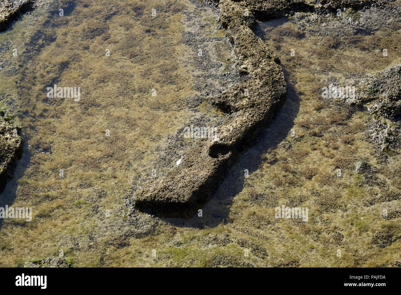 Water seaside stone hi-res stock photography and images - Alamy