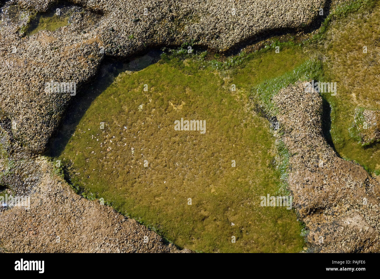 Stone texture under water Stock Photo - Alamy