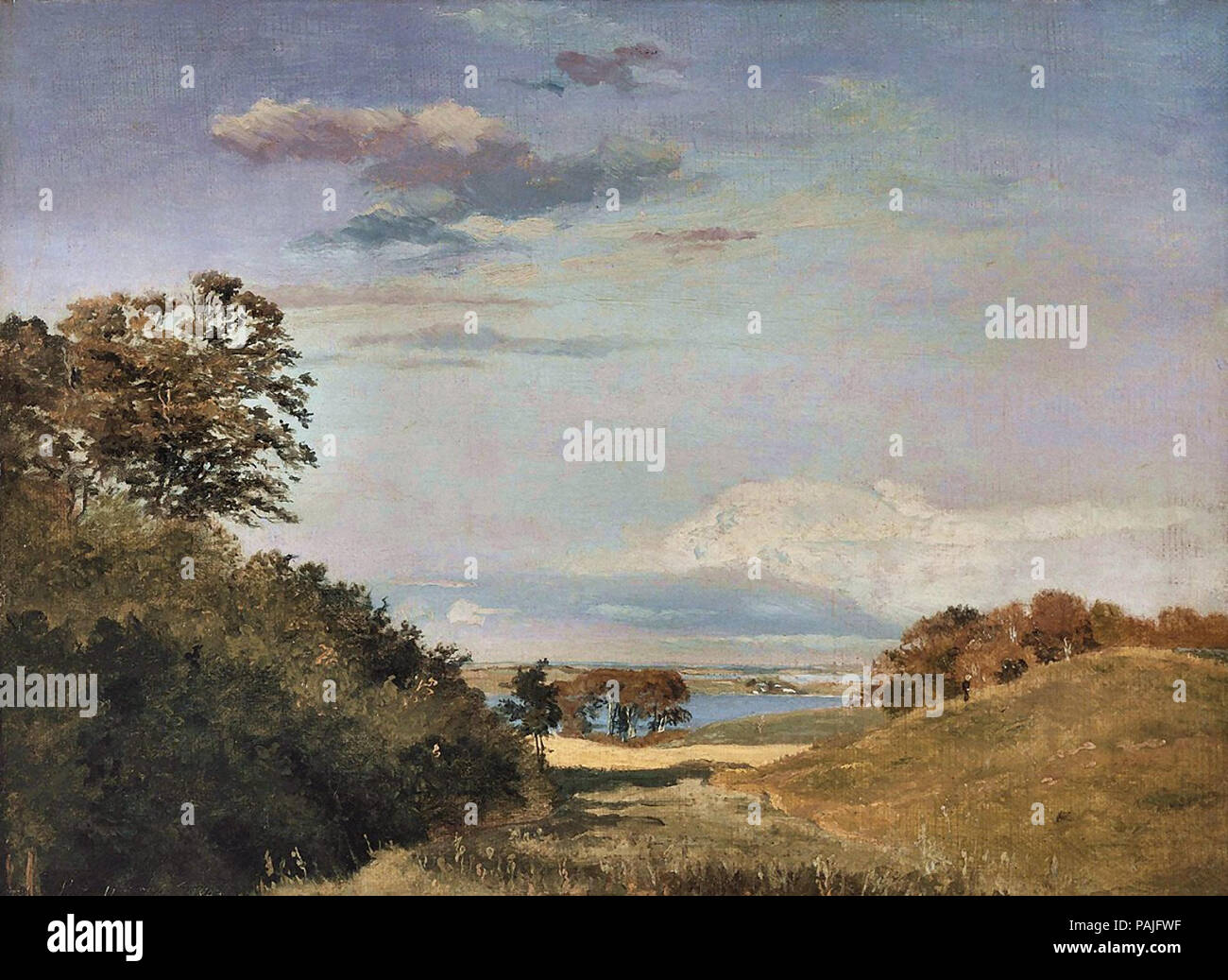 Lundbye Johan Thomas - Landscape Study Sü8rups Vang Stock Photo - Alamy