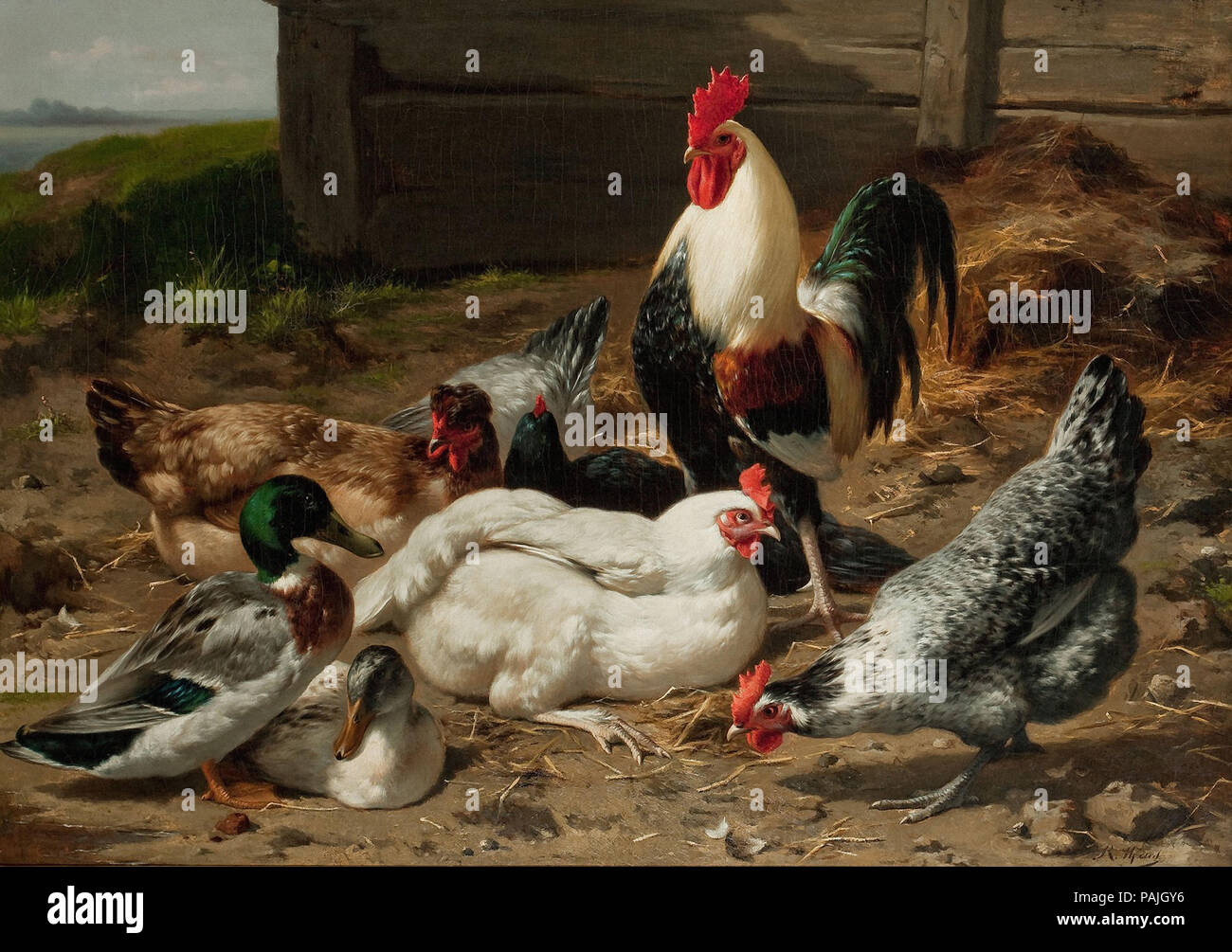 Maes eugene hi-res stock photography and images - Alamy