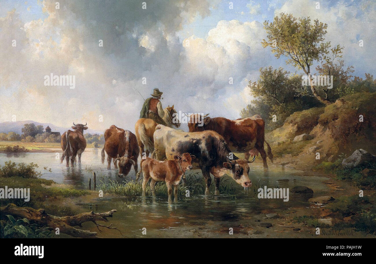 Mahlknecht Edmund - Cows with Shepherd at the Ford Stock Photo - Alamy