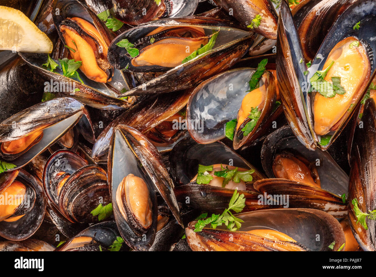 Closeup of cooked mussels, shot from above Stock Photo - Alamy