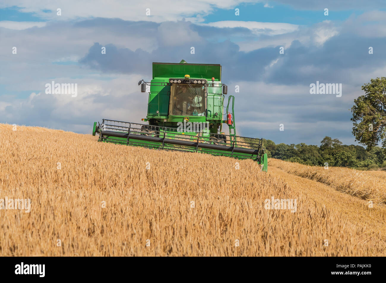 UK Farming, a John Deere Hillmaster combine at work on a winter barley ...