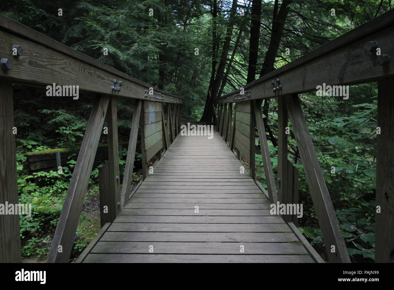a bridge on a hiking trail Stock Photo - Alamy
