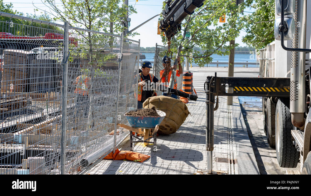 A typical scene in Toronto; workers planting young trees around the new ...