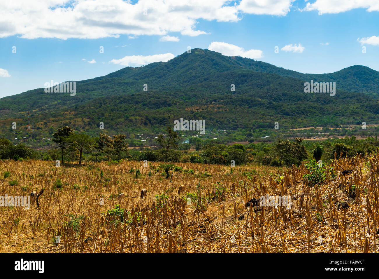 A small volcano in Volcan Telica National Park, Nicaragua Stock Photo ...