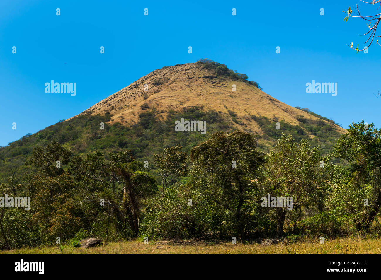 A small volcano in Volcan Telica National Park, Nicaragua Stock Photo ...