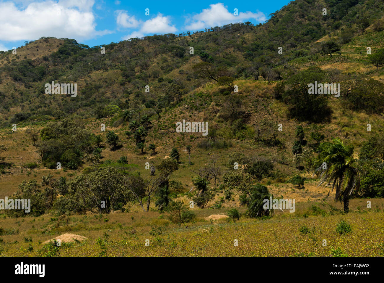 A small volcano in Volcan Telica National Park, Nicaragua Stock Photo ...