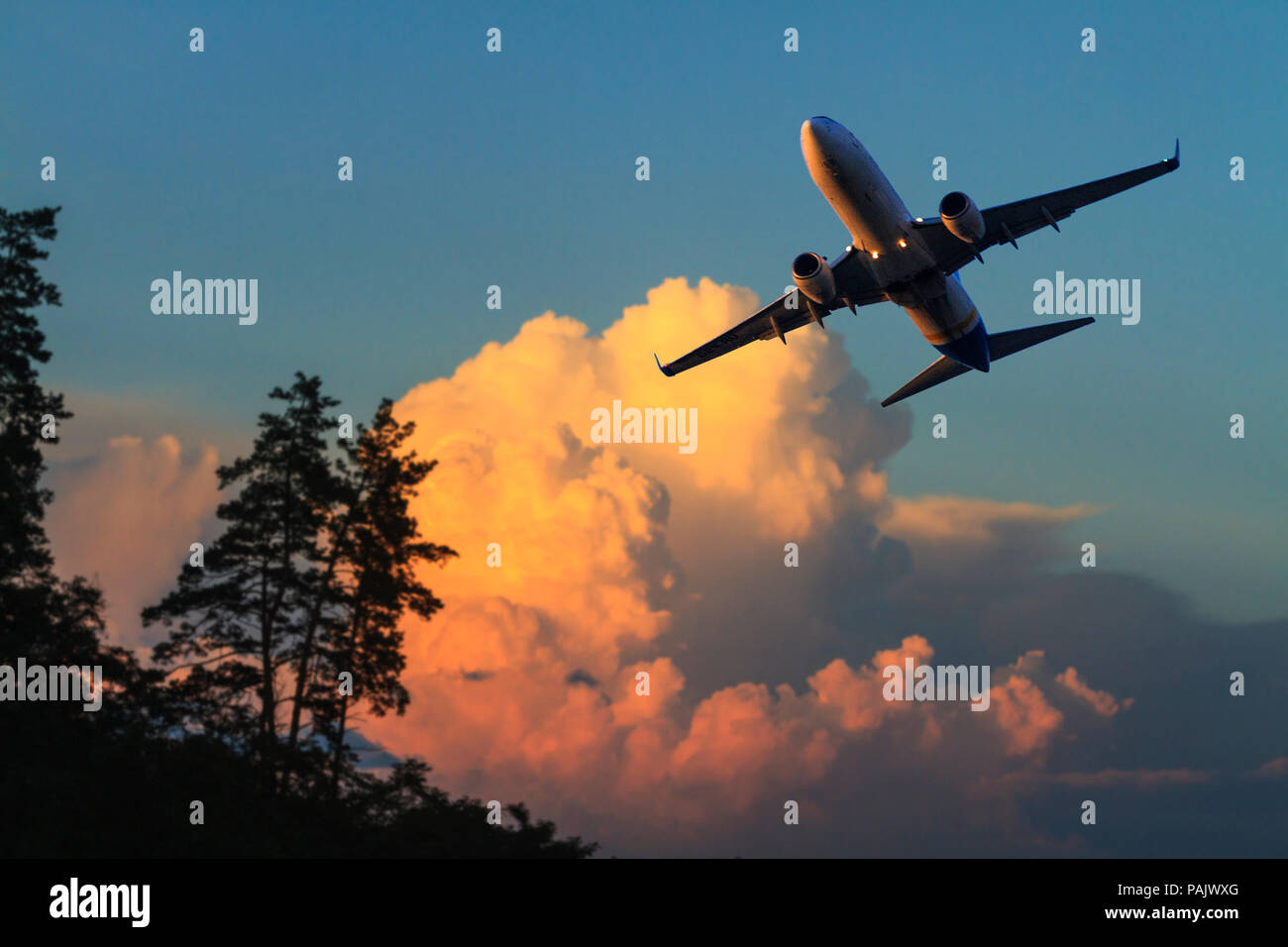 Aircraft flying over forest hi-res stock photography and images - Alamy