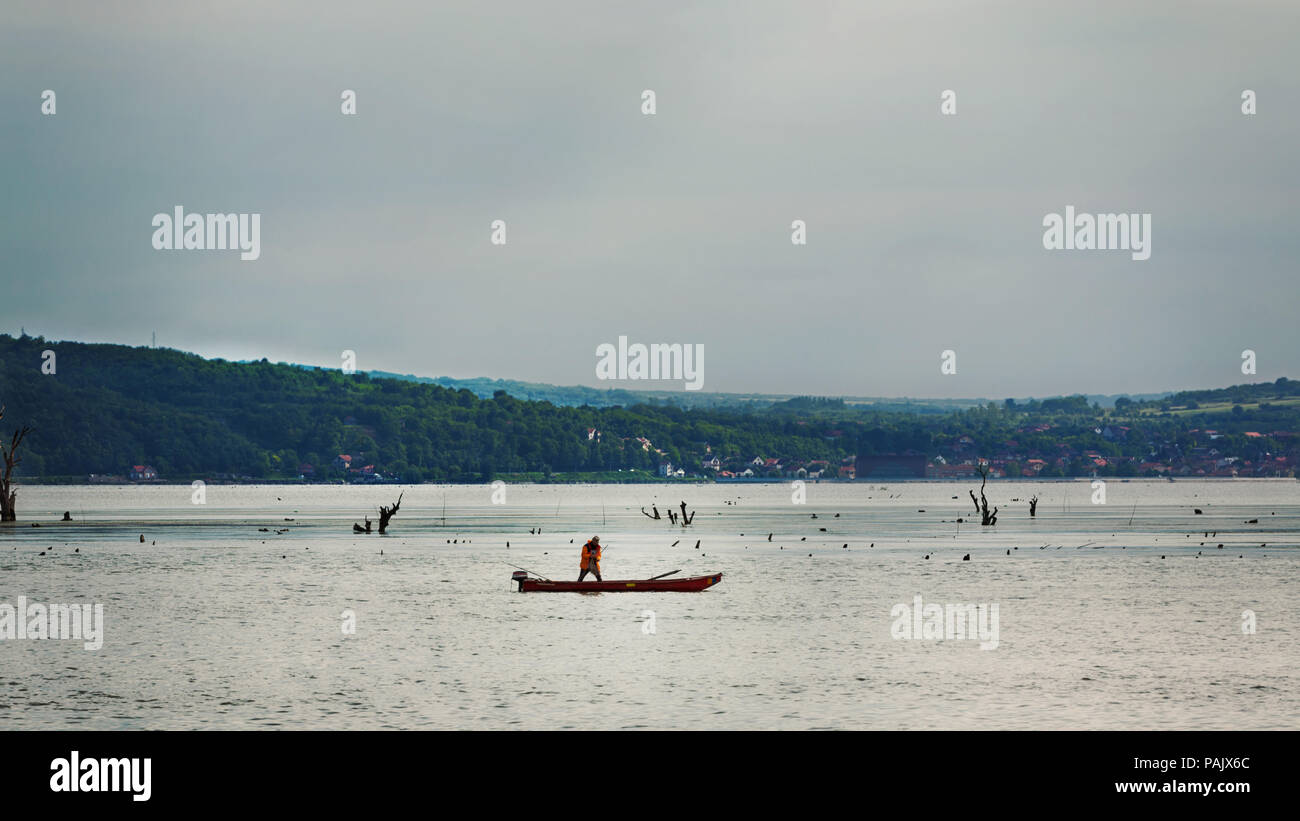 Freshwater fish in danube river hi-res stock photography and images - Alamy