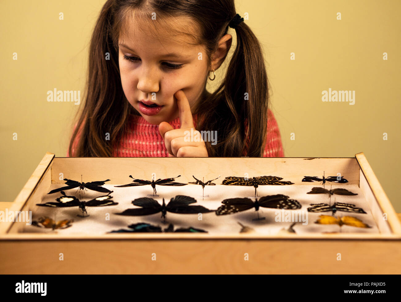 Entomology girl hi-res stock photography and images - Alamy