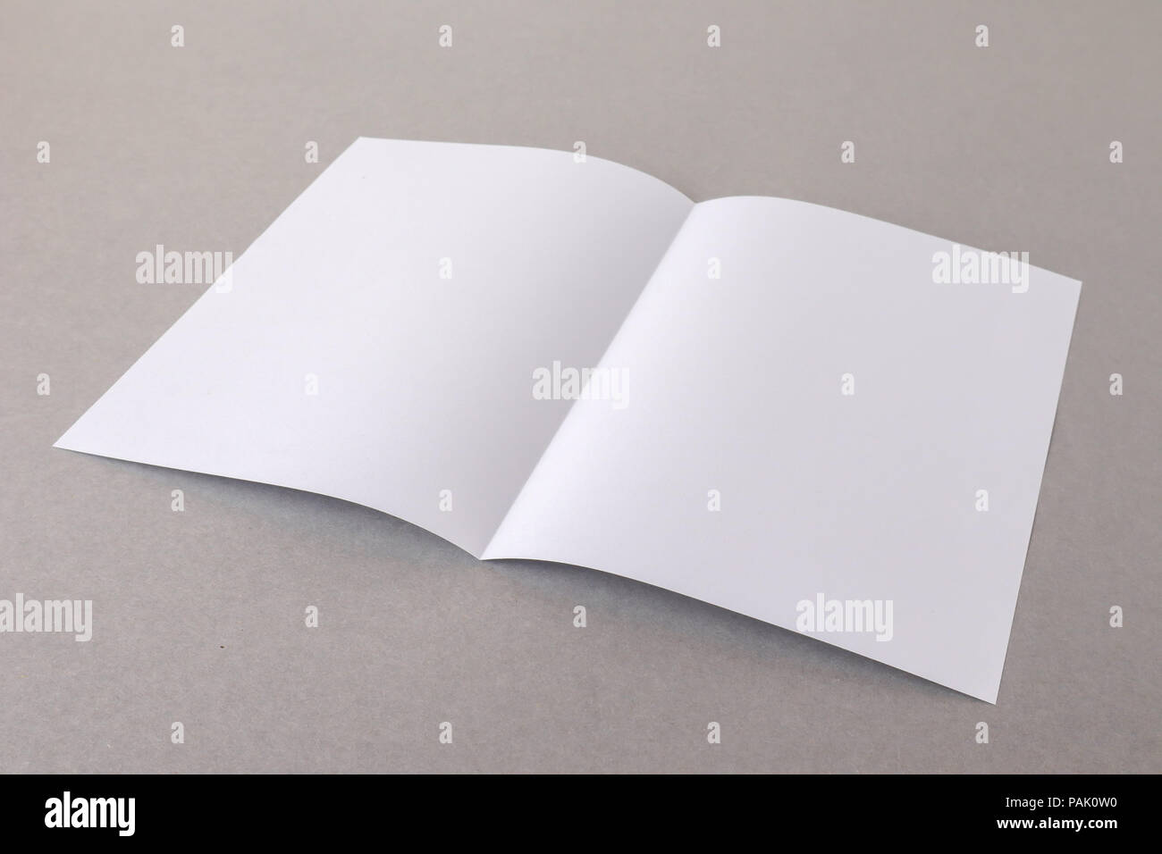 template fold white paper on gray background bussnese concept Stock ...