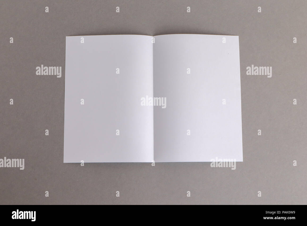 template fold white paper on gray background bussnese concept Stock ...
