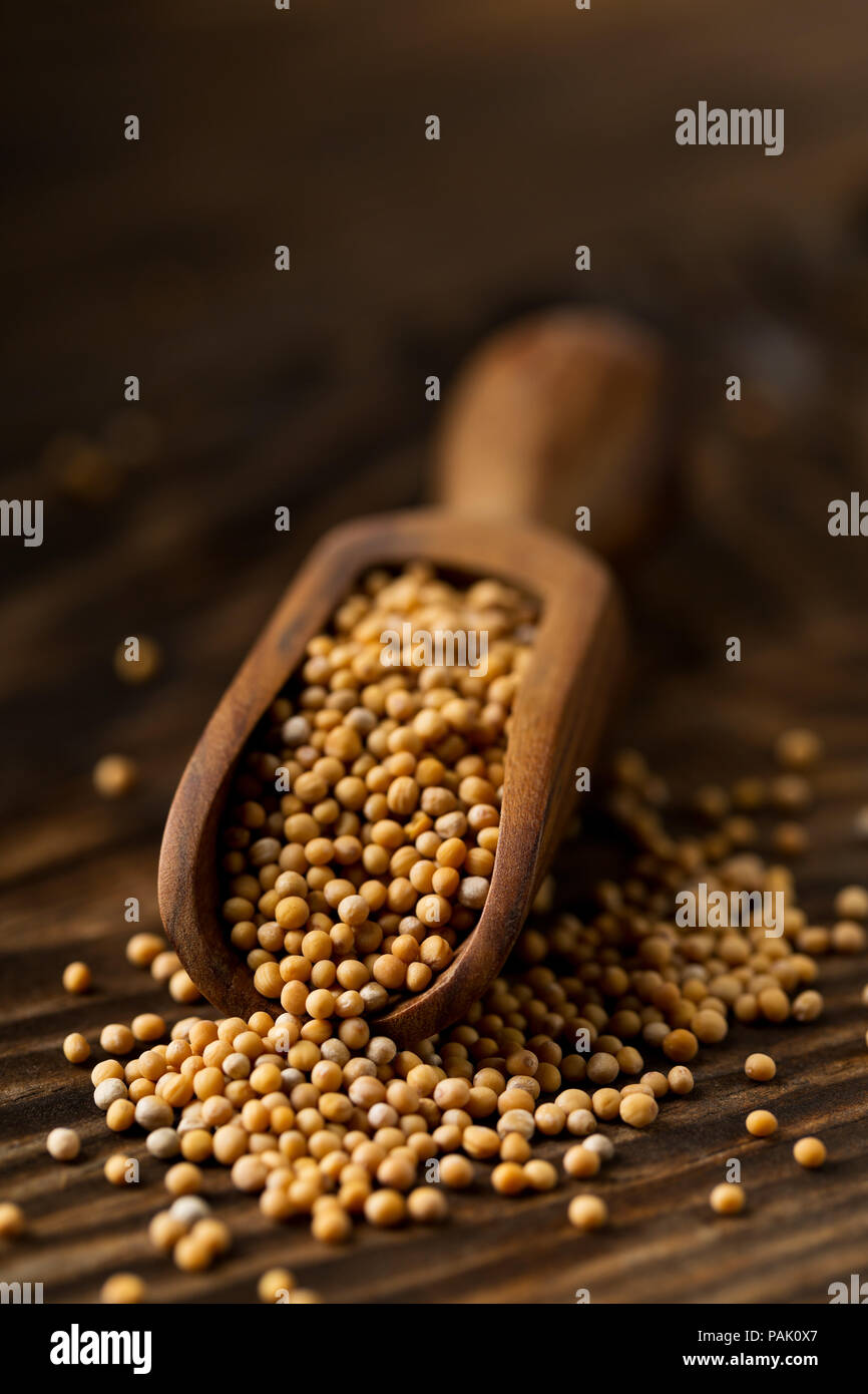 Heap of raw, unprocessed mustard seed kernels in wooden scoop on rustic ...