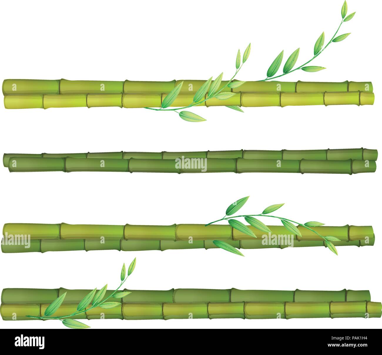 A set of bamboo on white background illustration Stock Vector Image ...