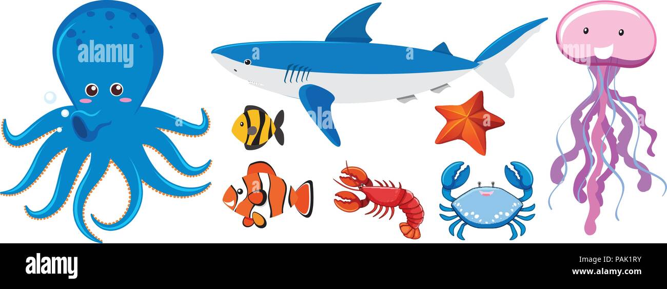 Ocean creatures art Stock Vector Images - Alamy
