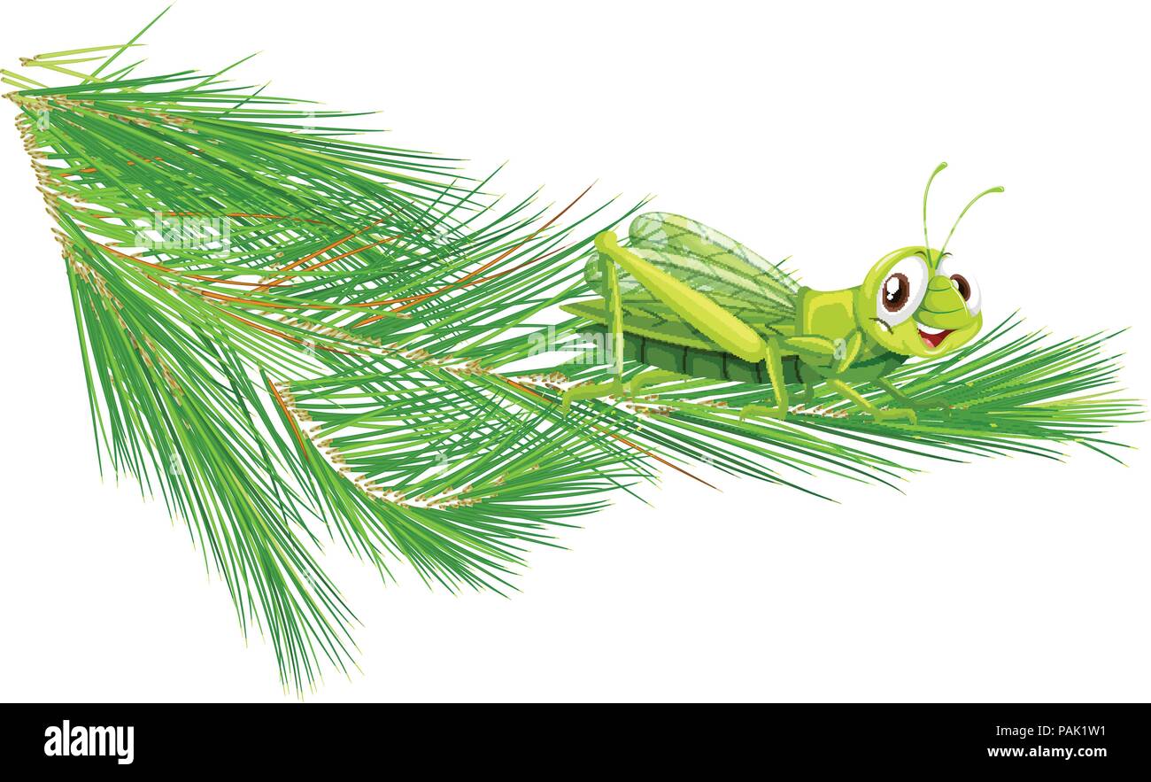 Branch with a happy grasshopper illustration Stock Vector Image & Art ...