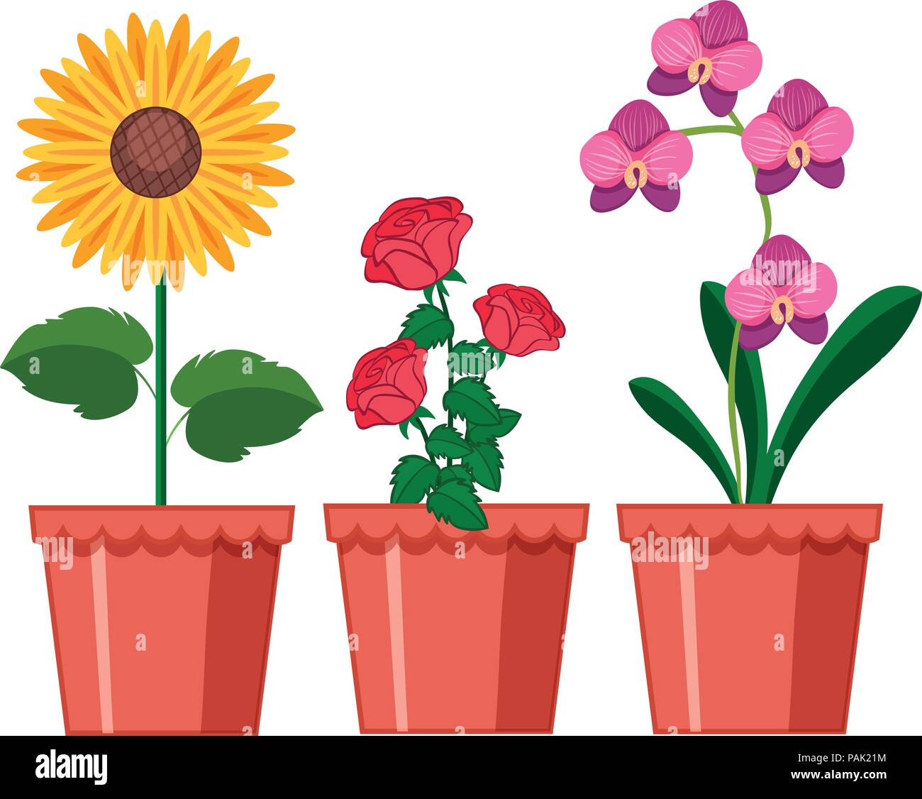 Flower In Pot Clip Art High Resolution Stock Photography and Images - Alamy