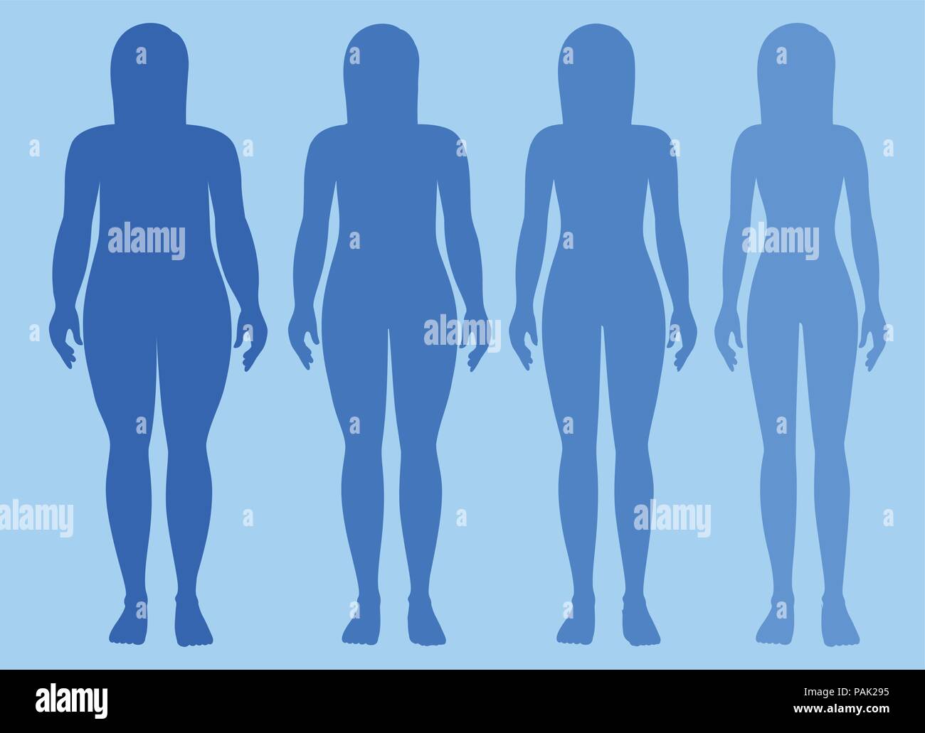 Female body obese to skinny illustration Stock Vector Image & Art - Alamy